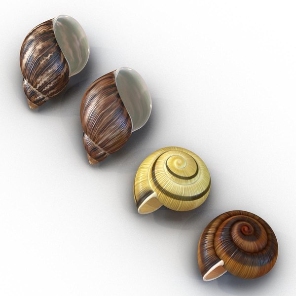 snail shells 3d 3ds