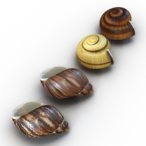 snail shells 3d 3ds