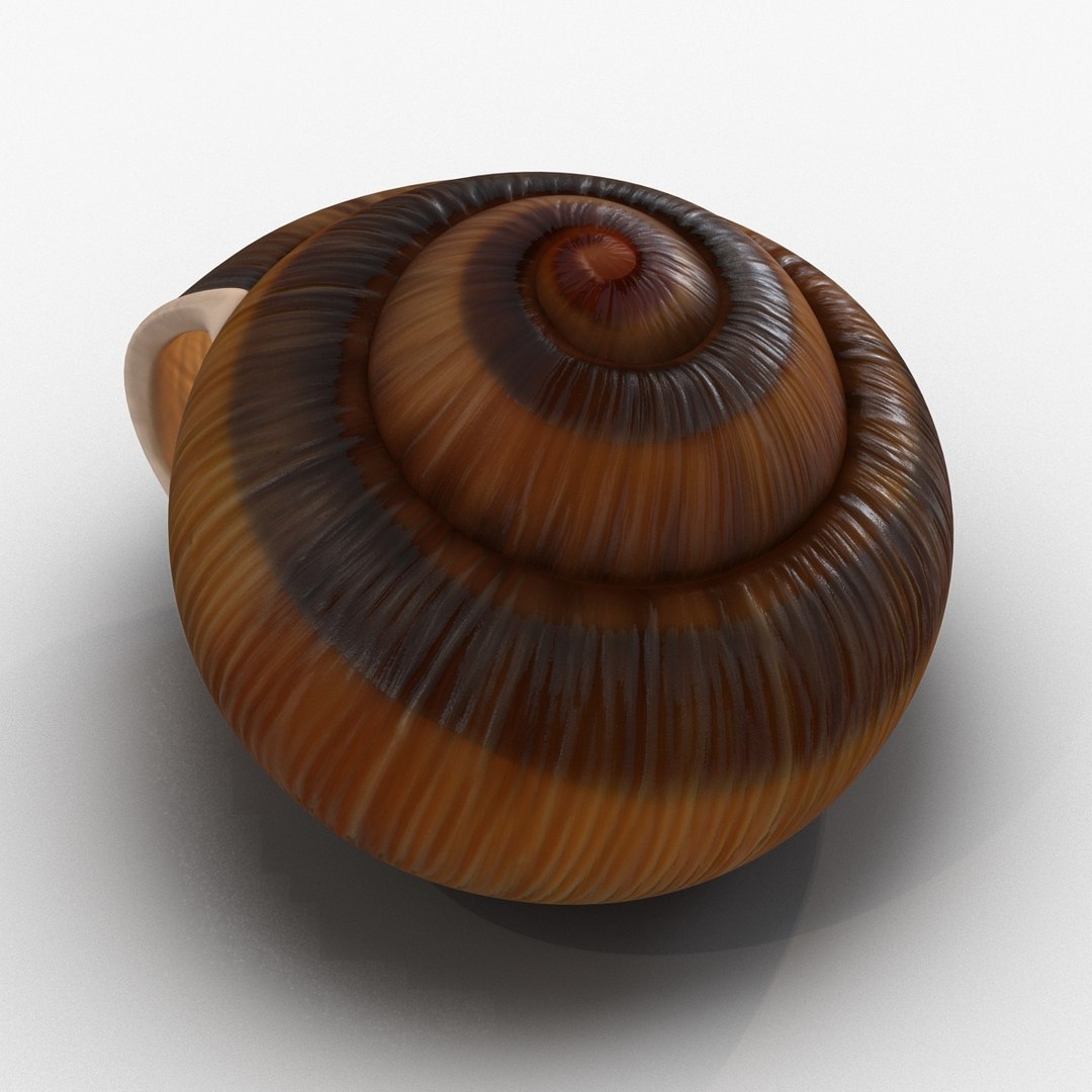 Snail Shells 3d 3ds
