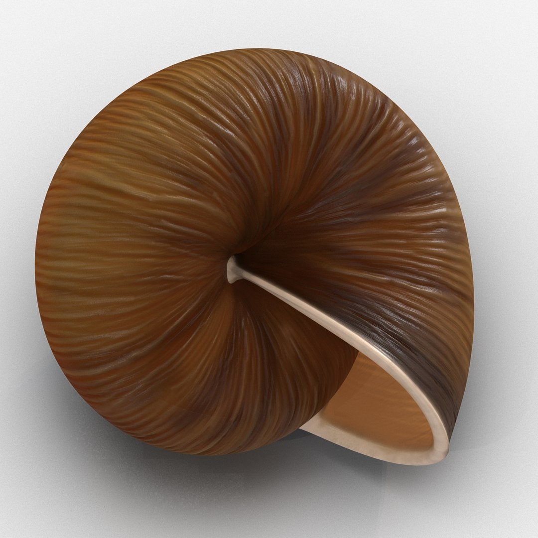 Snail Shells 3d 3ds