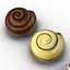snail shells 3d 3ds