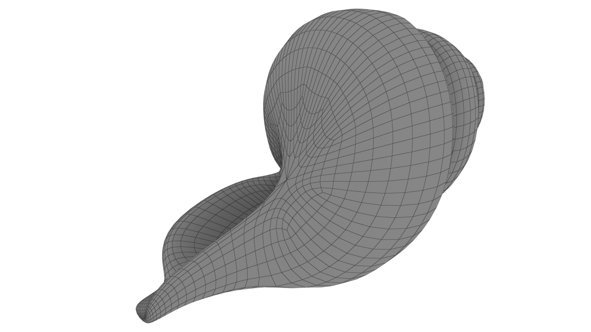 Cartoon Sea Shell 03 3D Model - TurboSquid 2088752