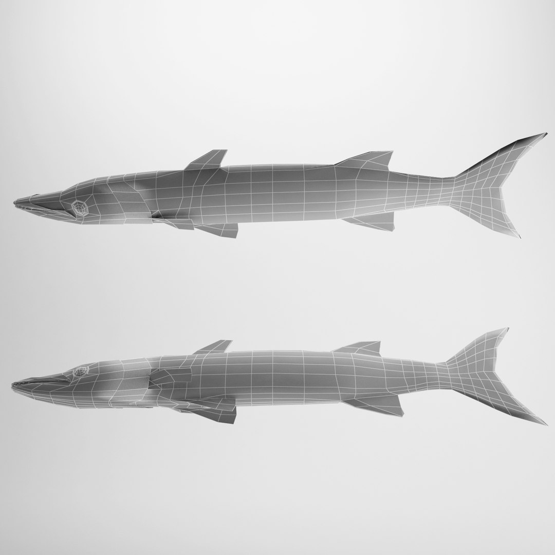 Barracuda Fbx