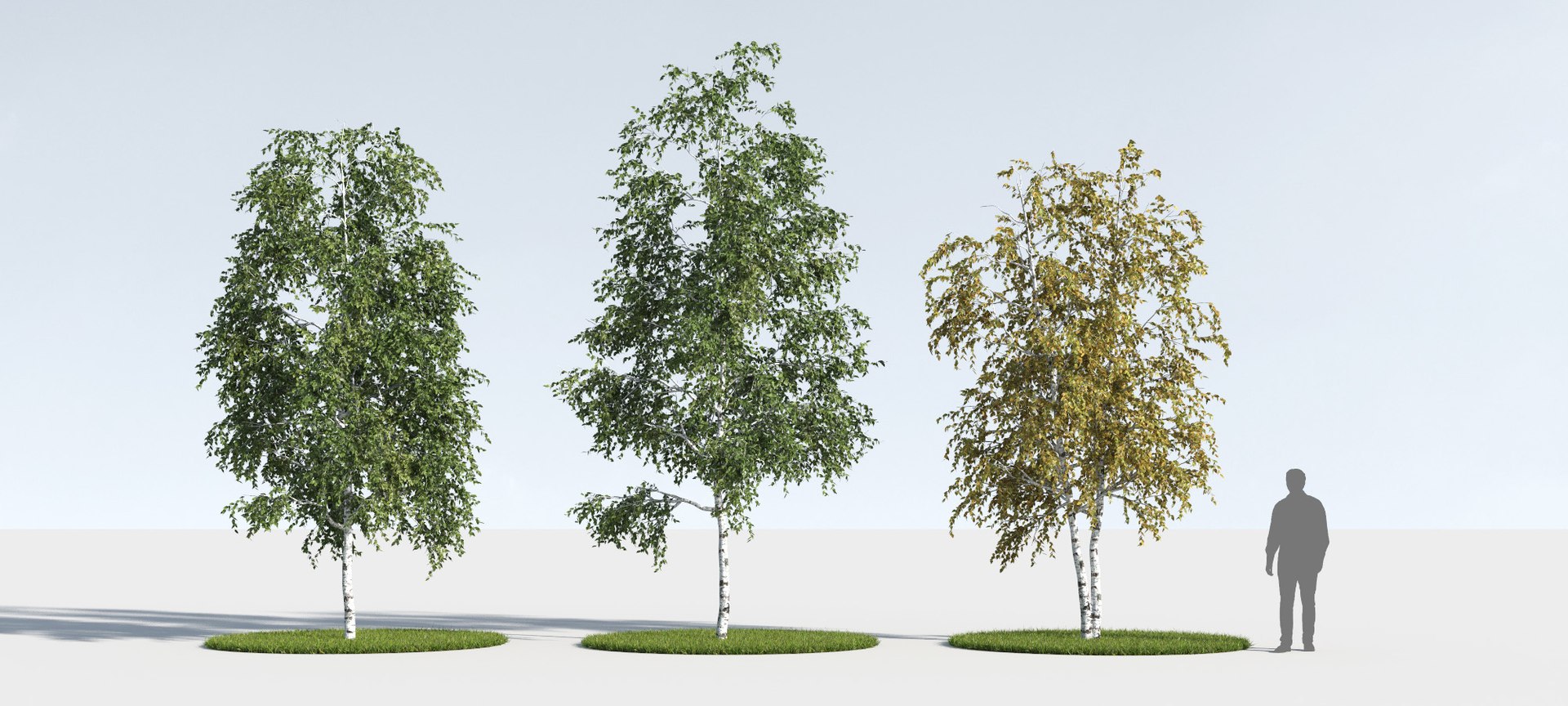 3D Trees 12 - TurboSquid 1349227