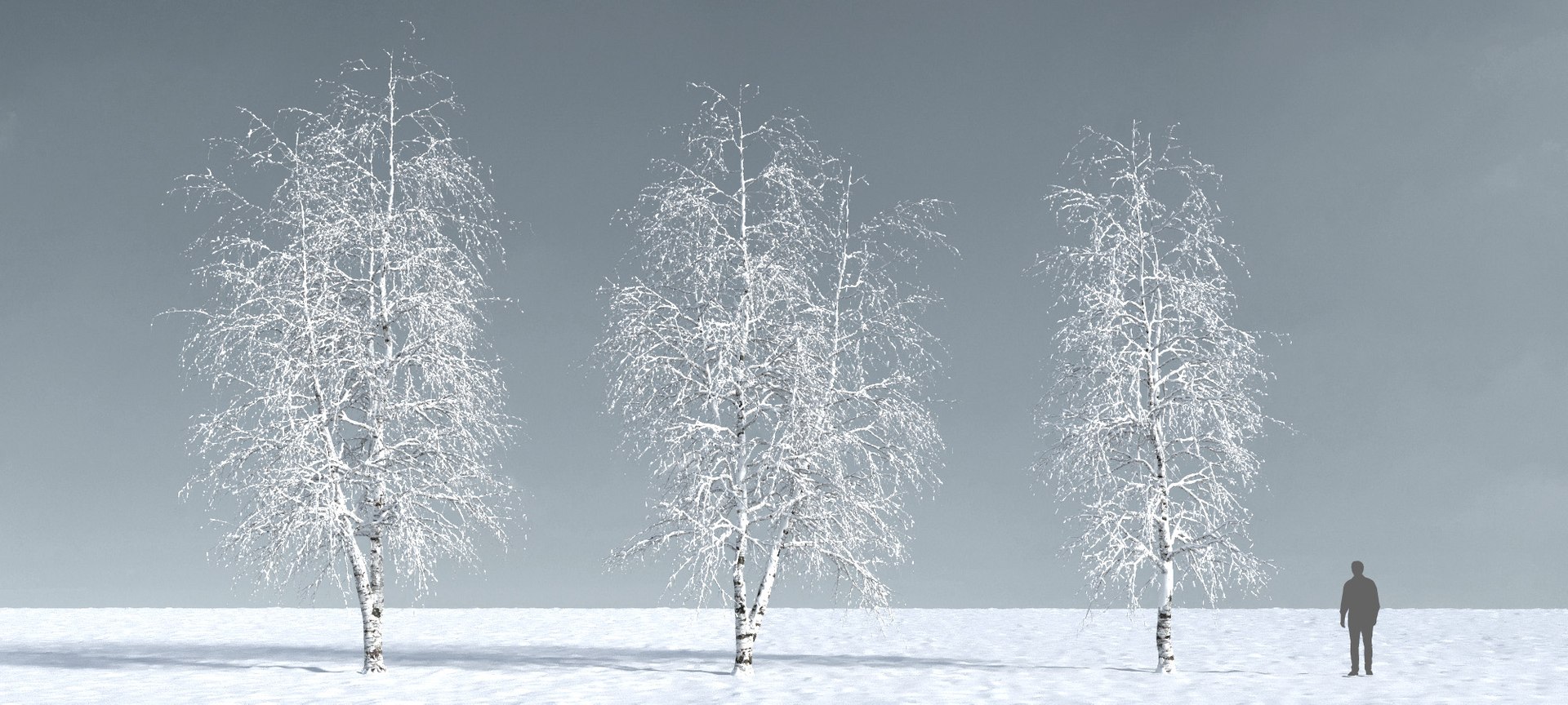 3D Trees 12 - TurboSquid 1349227