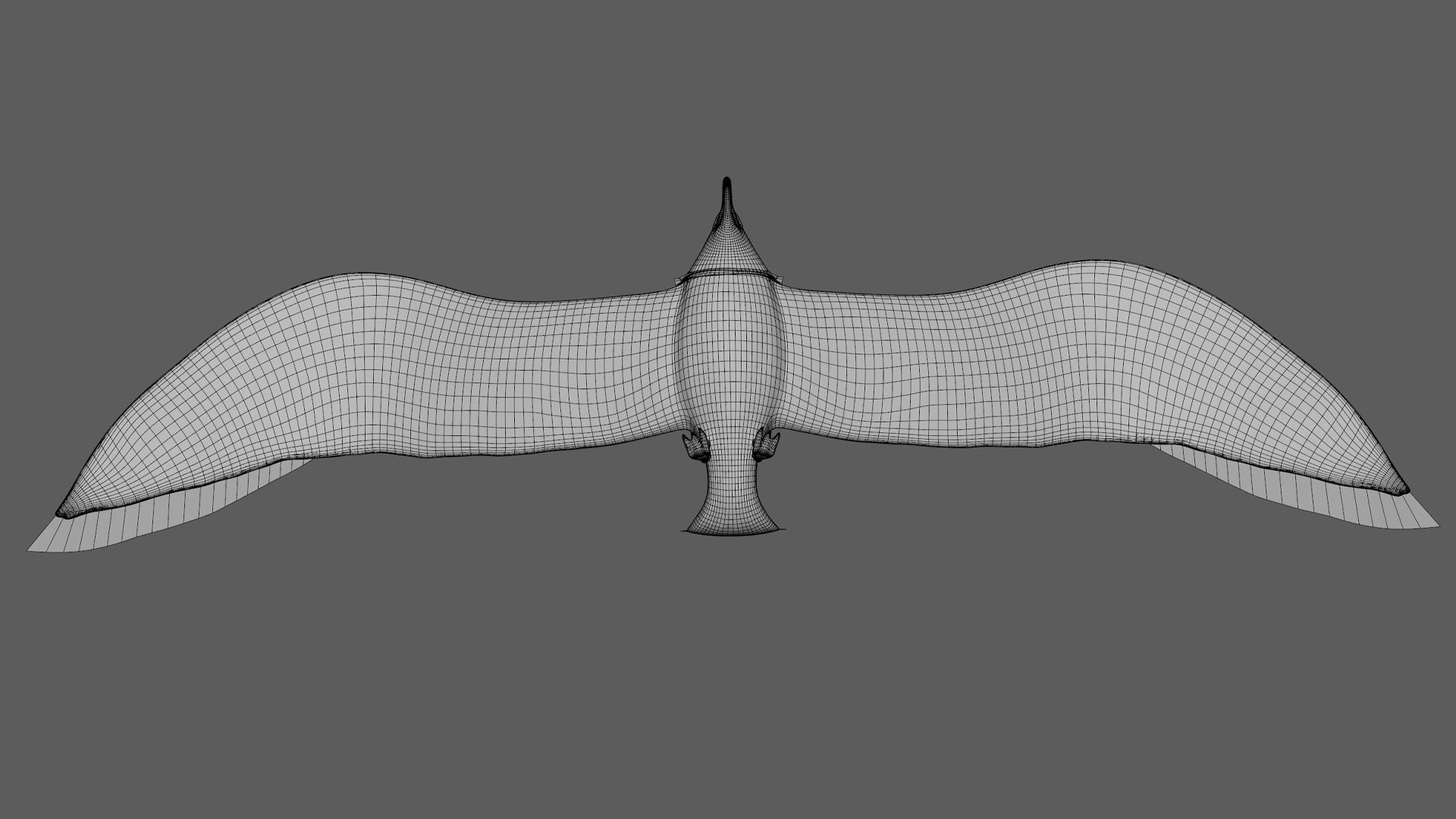 Bird Petrel 3D - TurboSquid 1686501