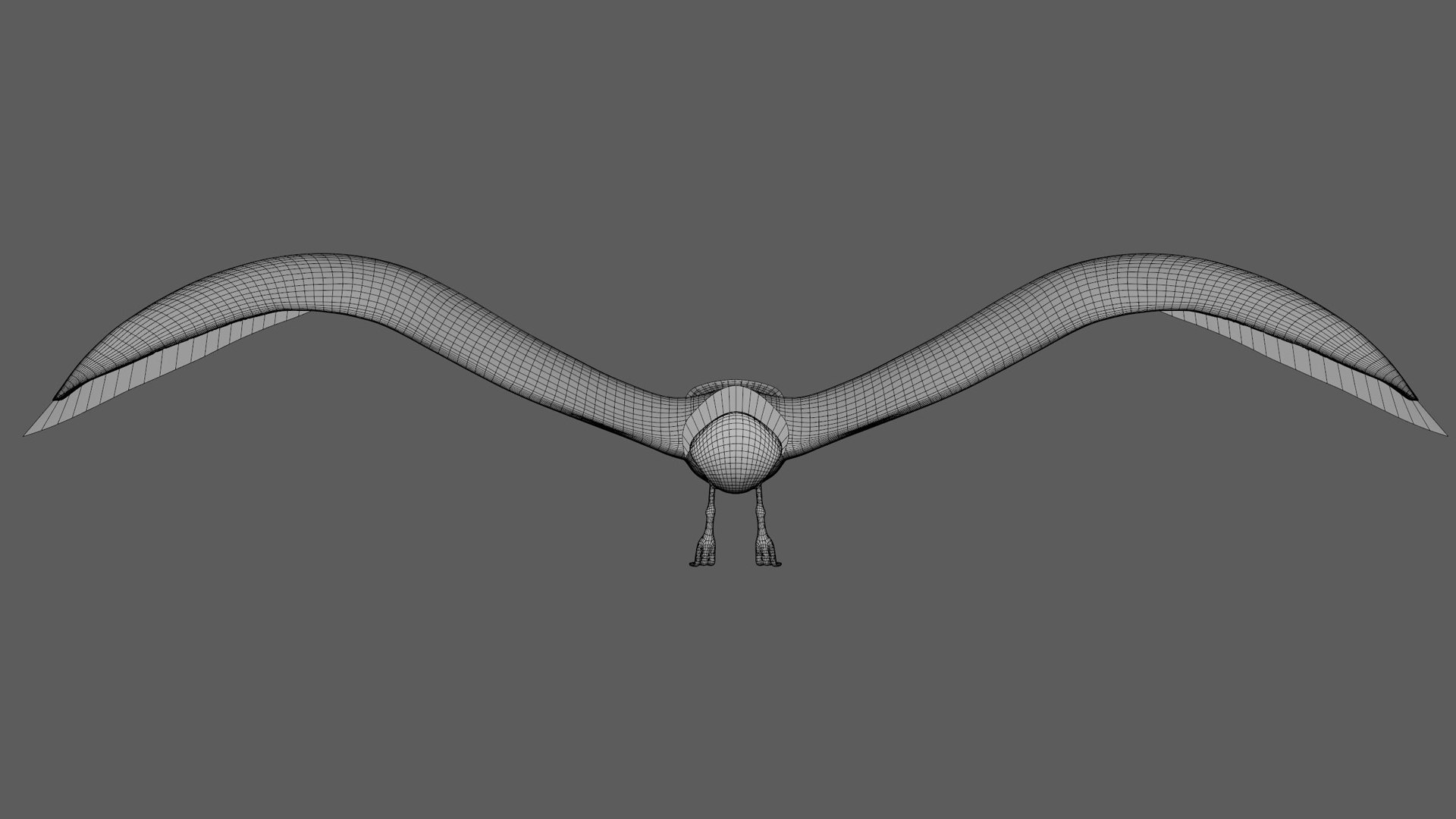 Bird Petrel 3D - TurboSquid 1686501