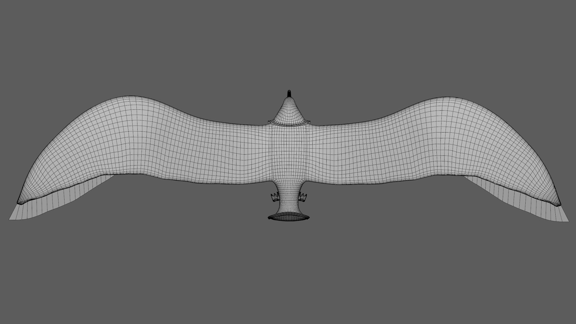 Bird Petrel 3D - TurboSquid 1686501