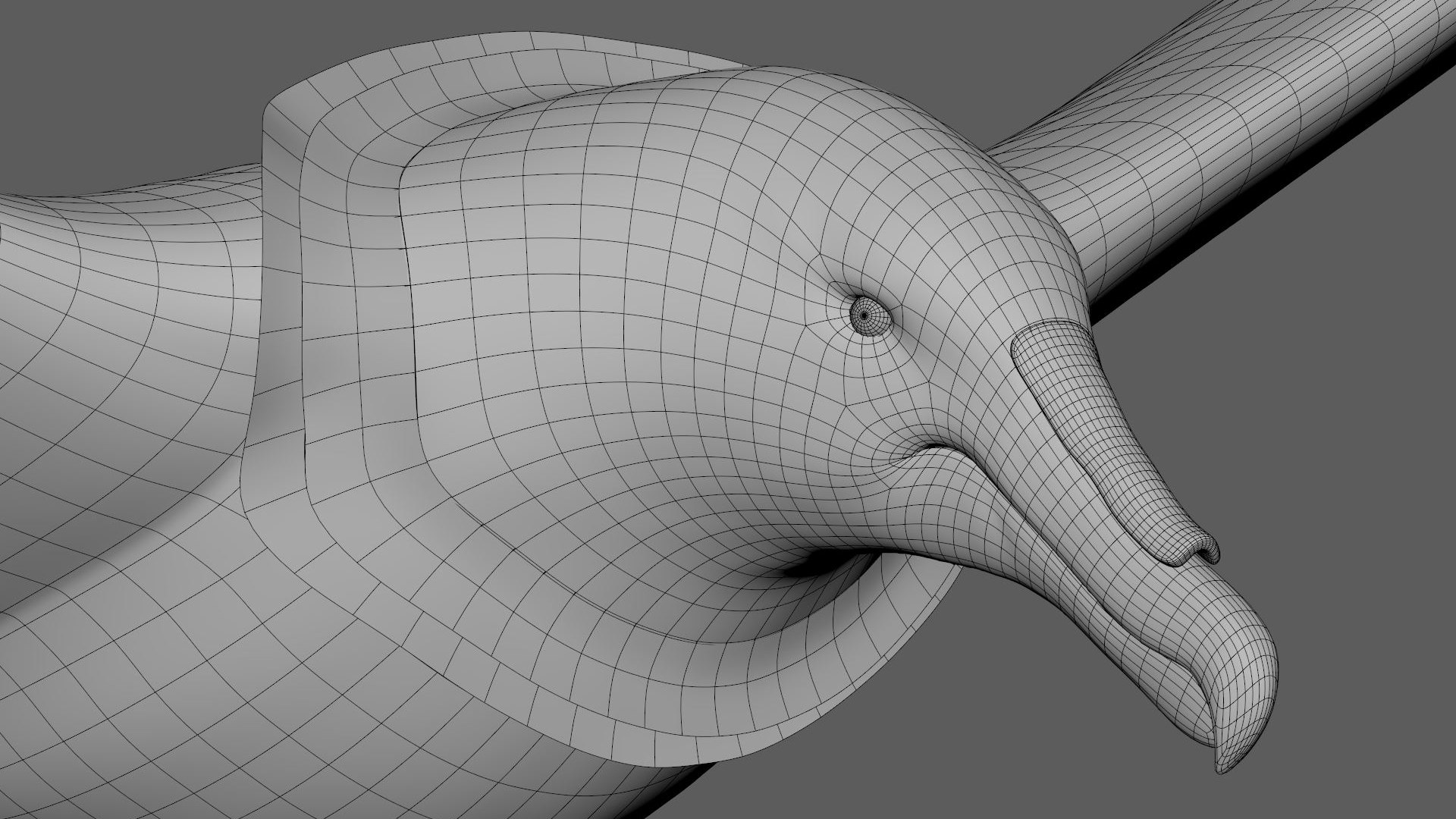 Bird Petrel 3D - TurboSquid 1686501