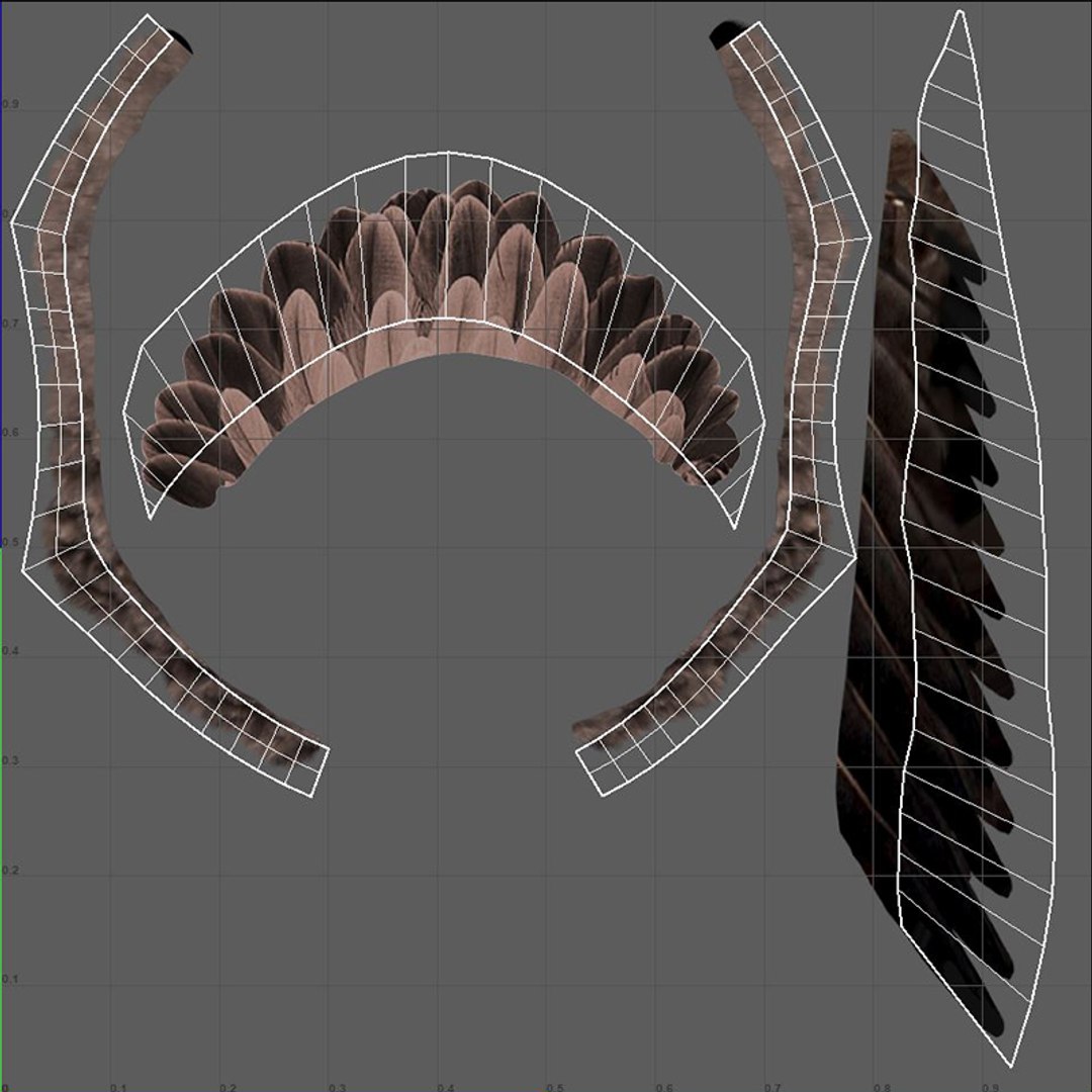 Bird Petrel 3D - TurboSquid 1686501