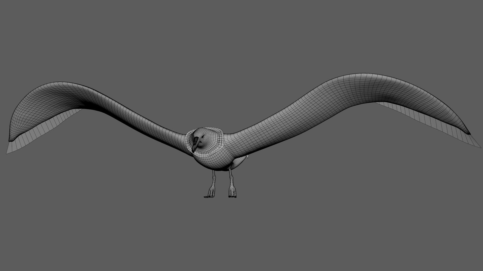 Bird Petrel 3D - TurboSquid 1686501