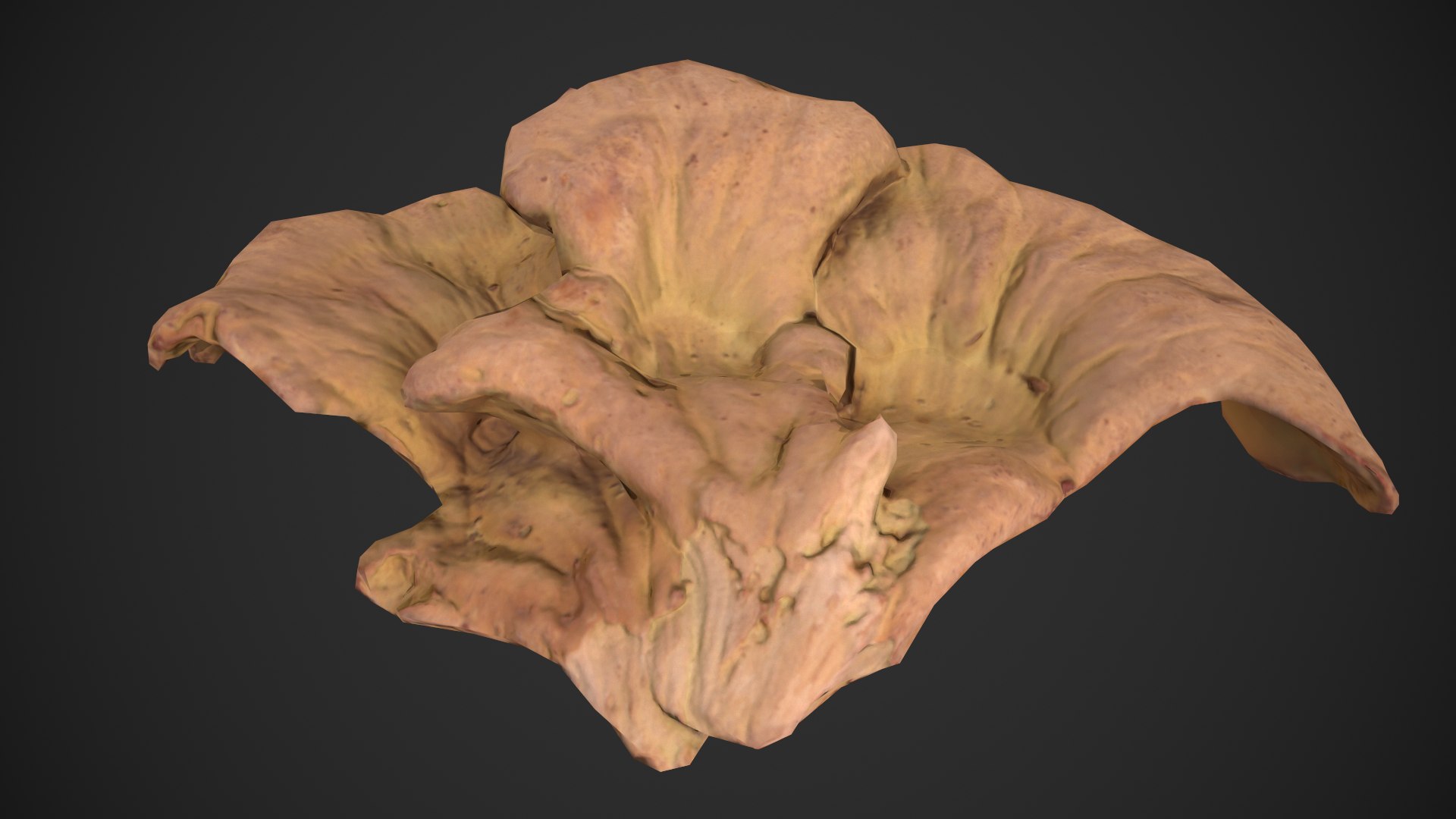 Chicken Of The Woods - Laetiporus Sulphureus 3D Model - TurboSquid 2118199