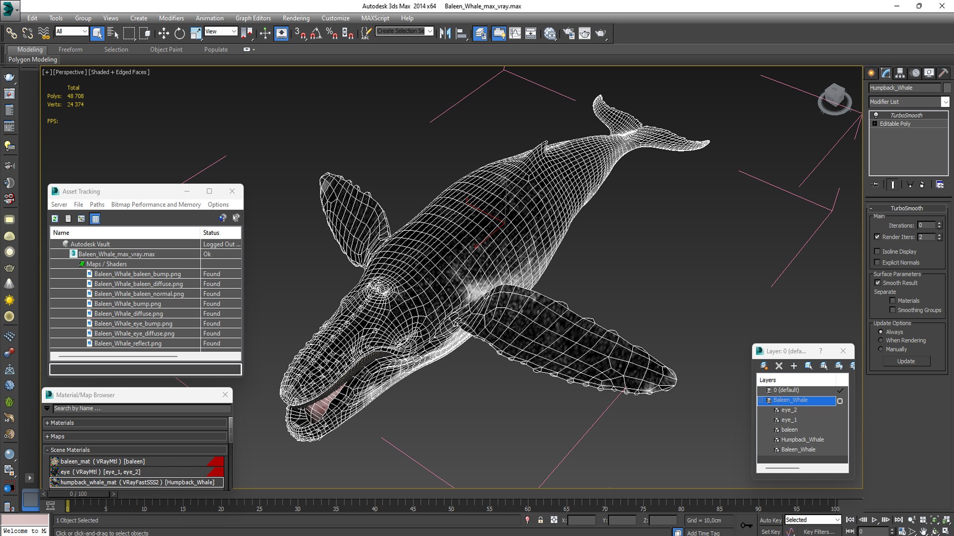 Baleen Whale 3D Model - TurboSquid 2271095