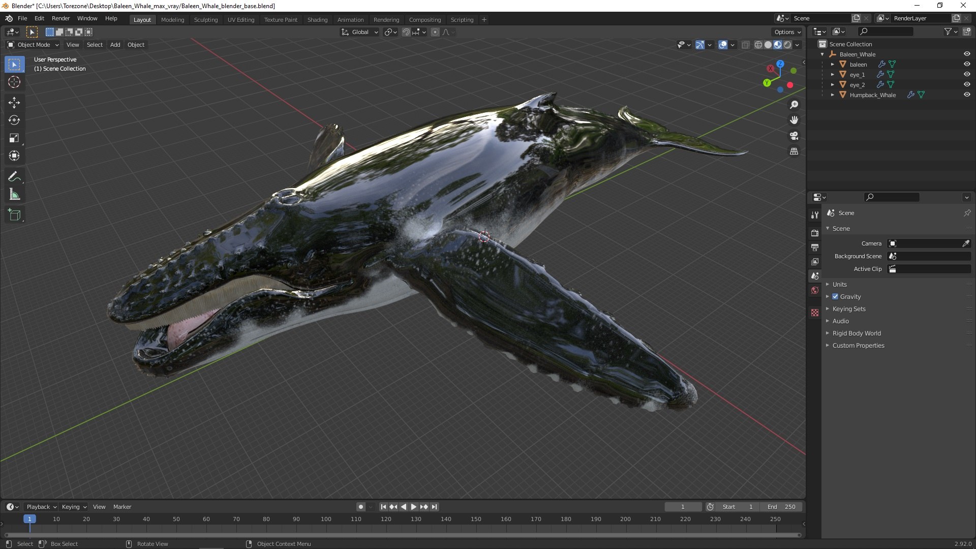 Baleen Whale 3D Model - TurboSquid 2271095