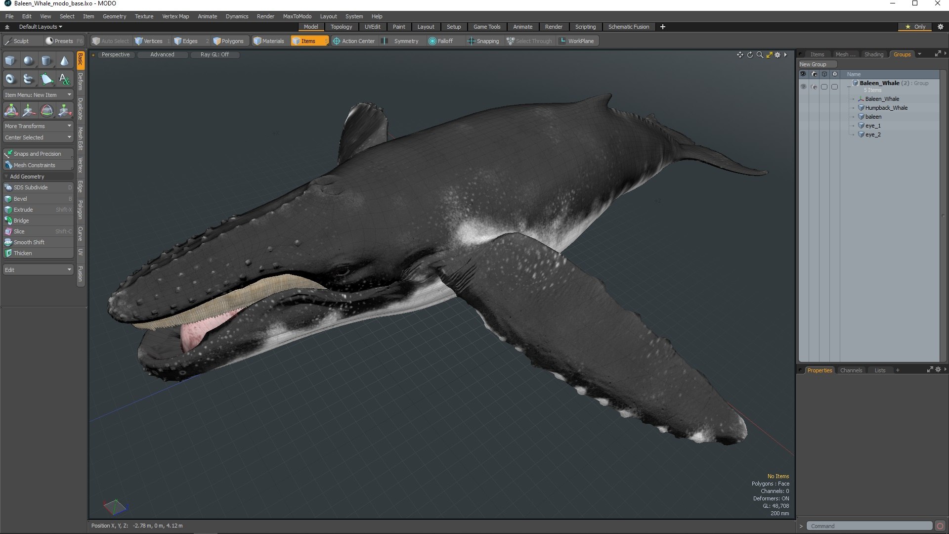 Baleen Whale 3D Model - TurboSquid 2271095