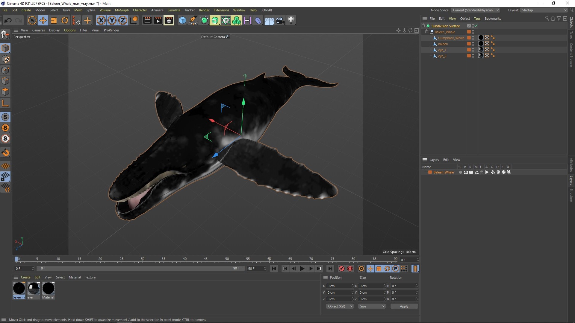 Baleen Whale 3D Model - TurboSquid 2271095