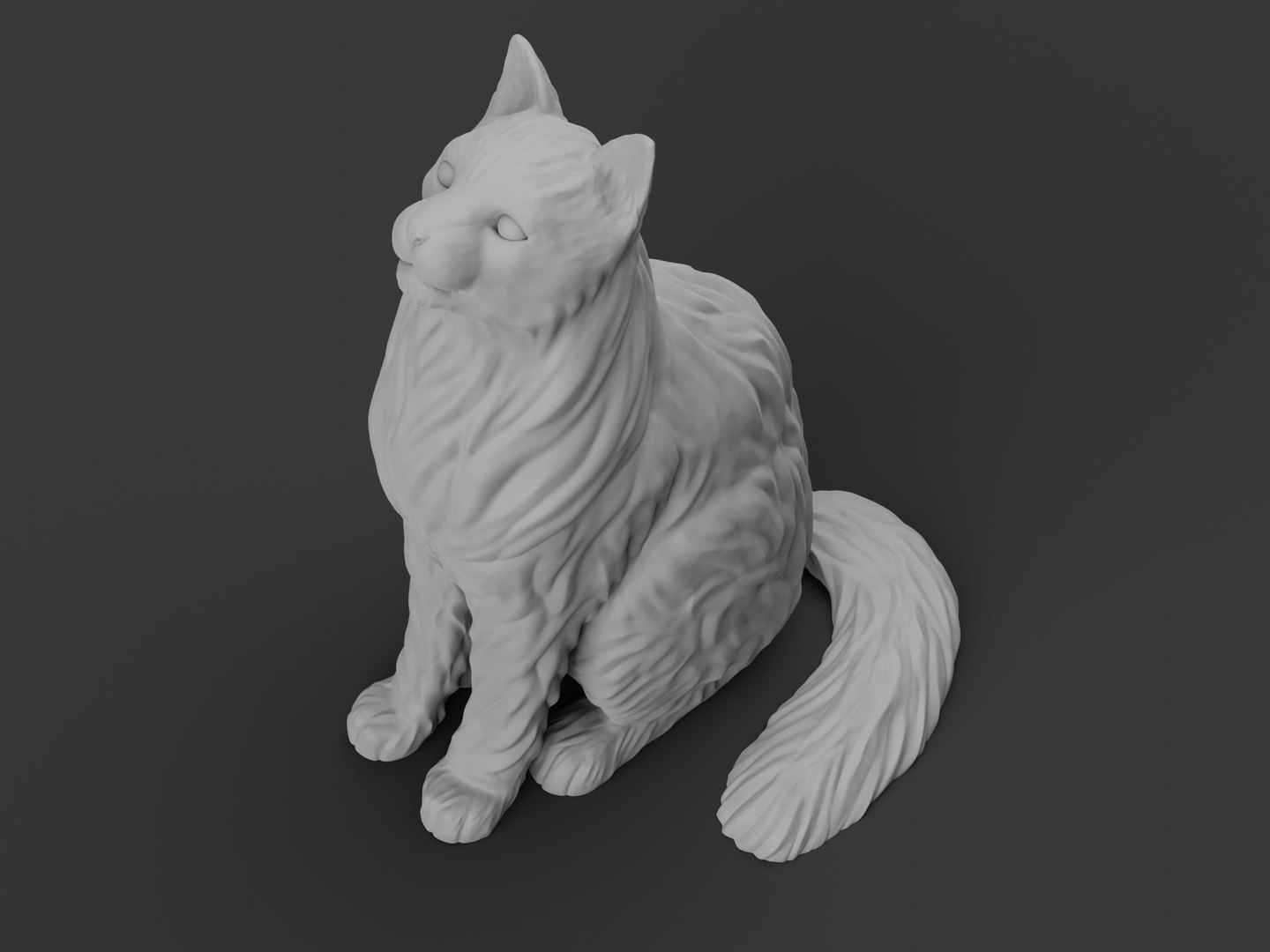 3D Cat Model - TurboSquid 2025502