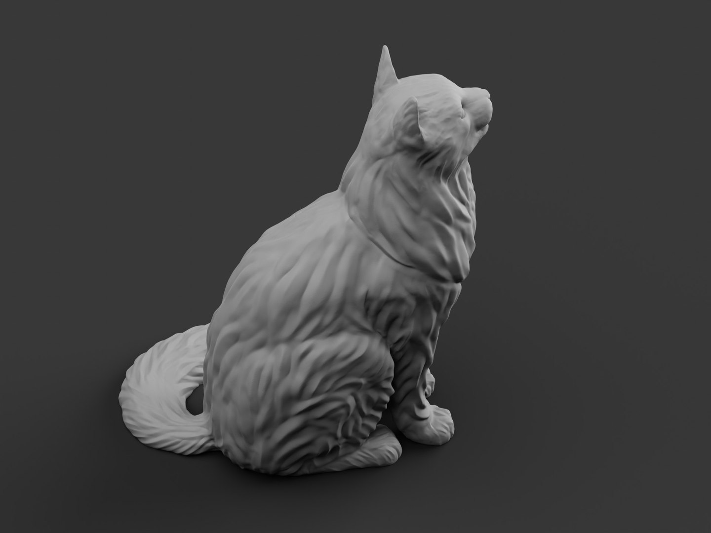 3D Cat Model - TurboSquid 2025502