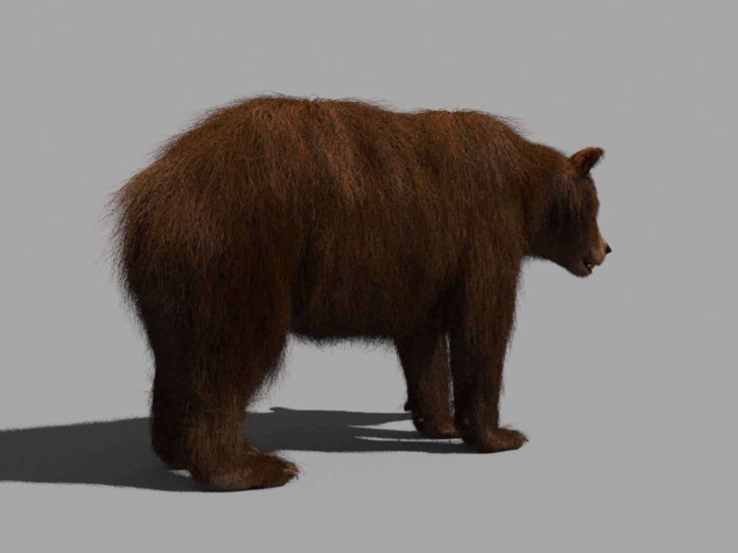 3dsmax Wild Bear Animation