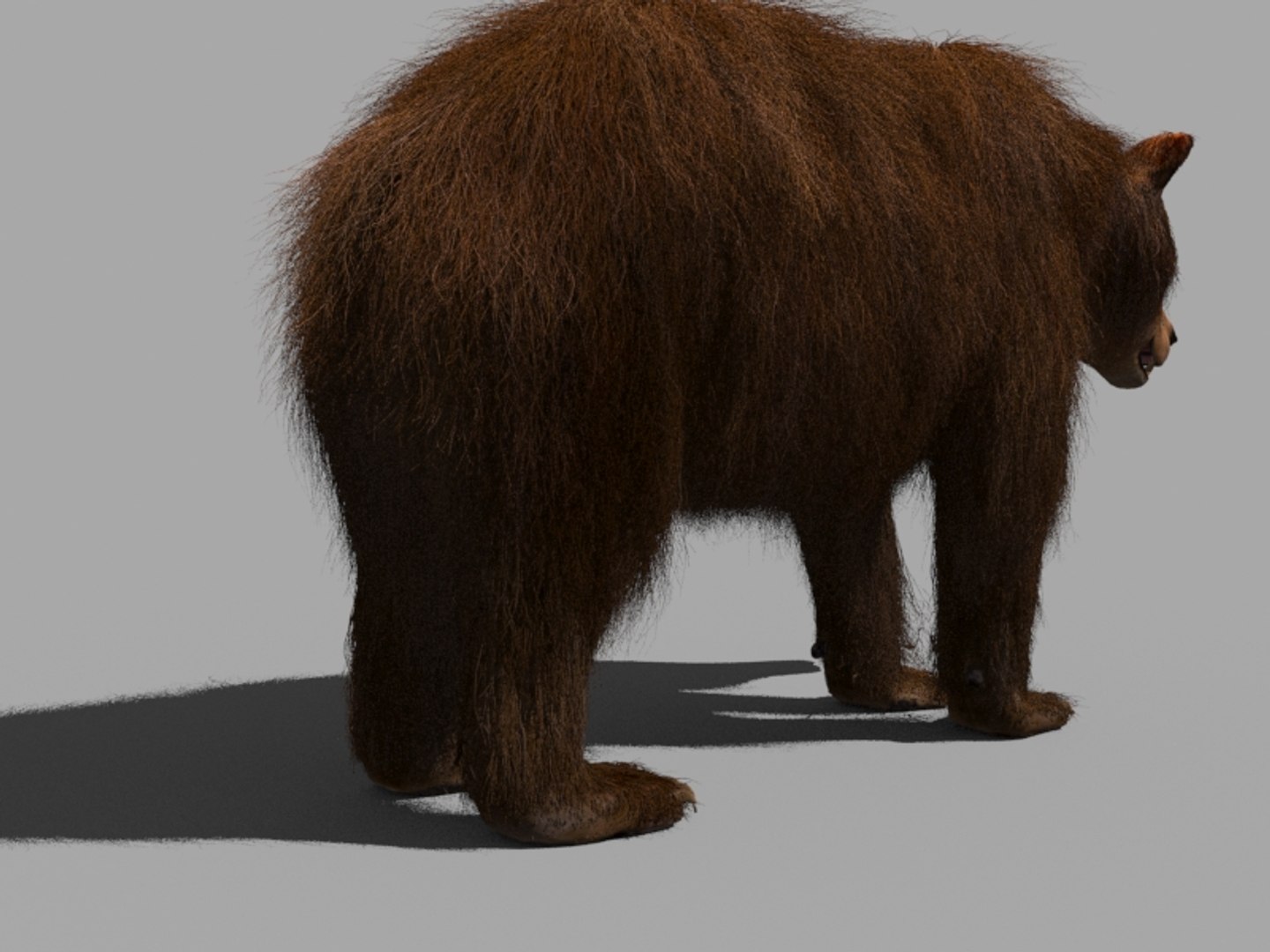 3dsmax Wild Bear Animation