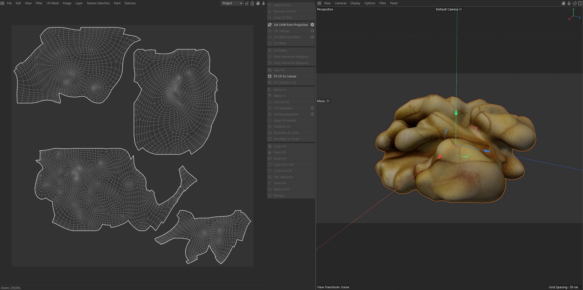 Free Walnut Kernel V1 3D Model - TurboSquid 2397360