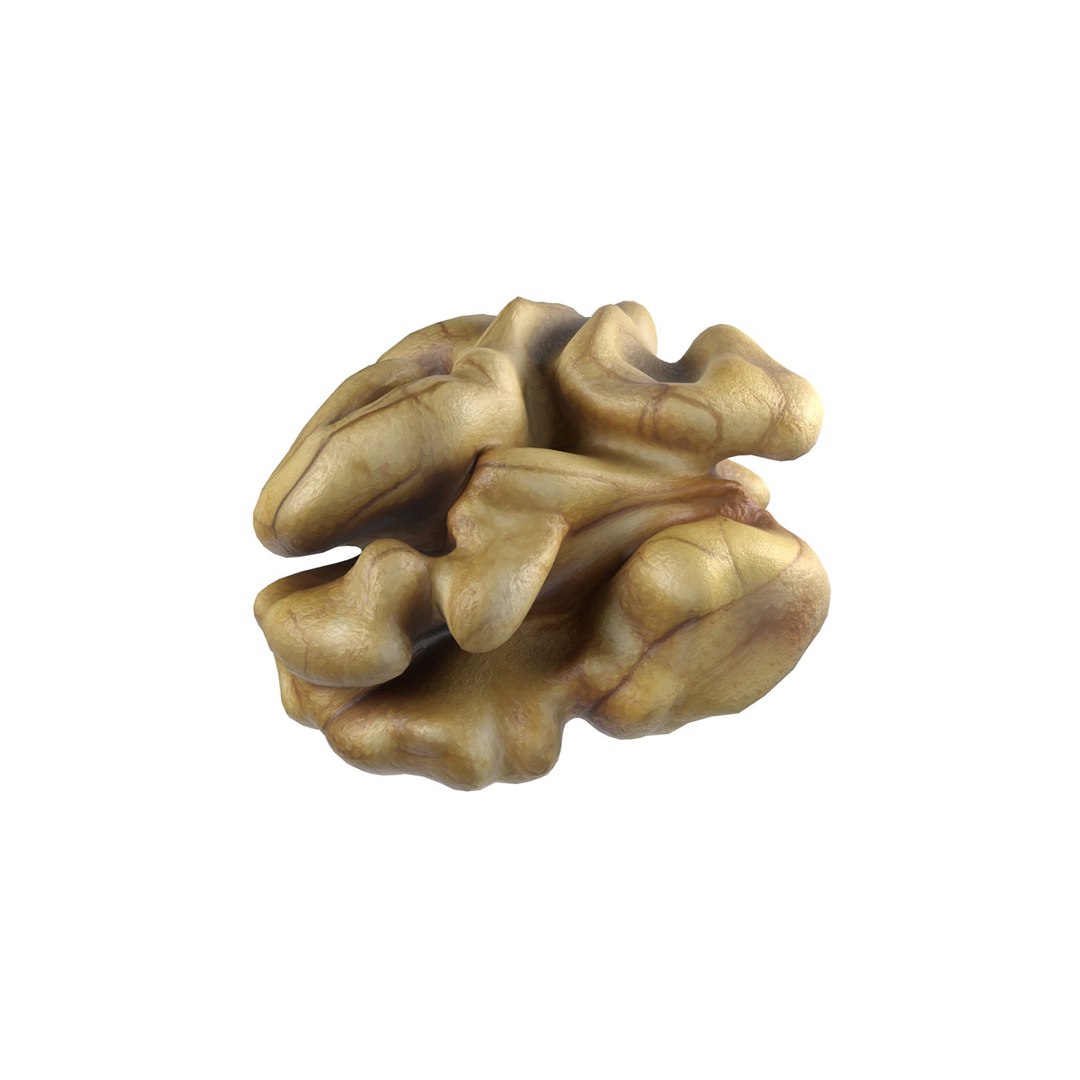 Free Walnut Kernel V1 3D Model - TurboSquid 2397360