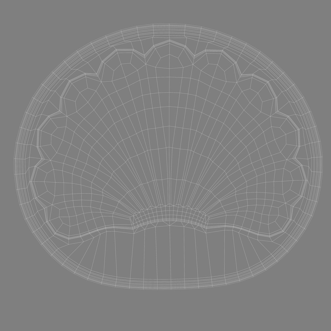 3D mold shell - TurboSquid 1317083