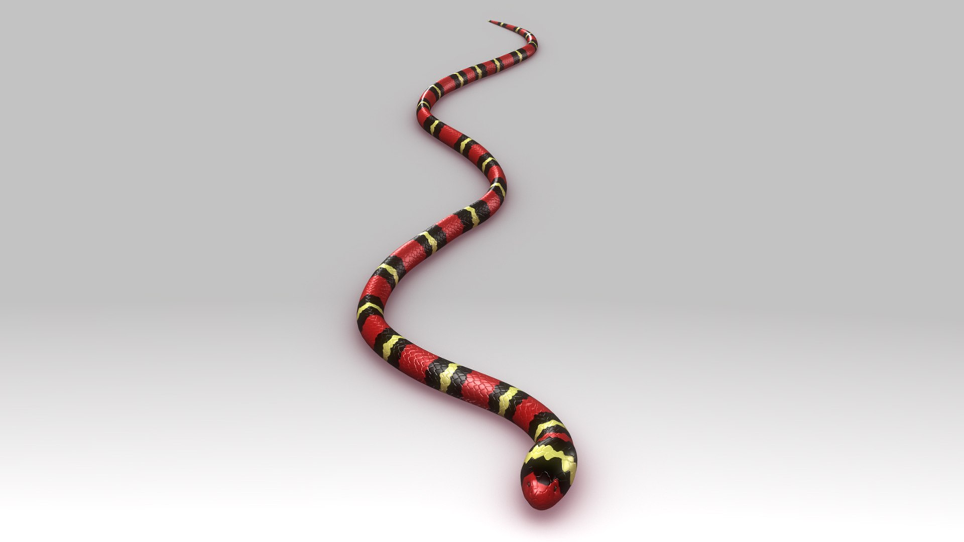3d Coral Snake Rigged