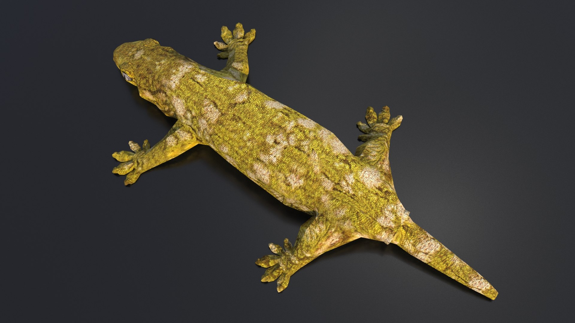Gecko Lizard 3D Model | 1147745 | TurboSquid