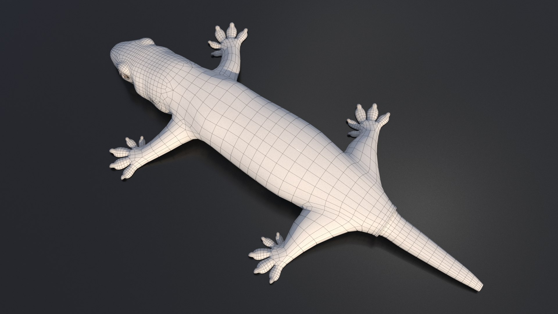 Gecko Lizard 3D Model | 1147745 | TurboSquid