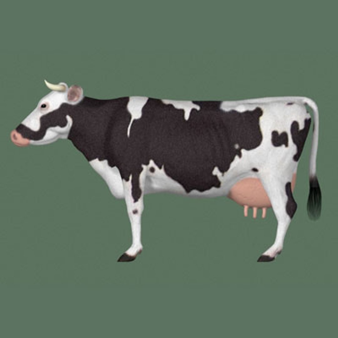 Cow 3d Model