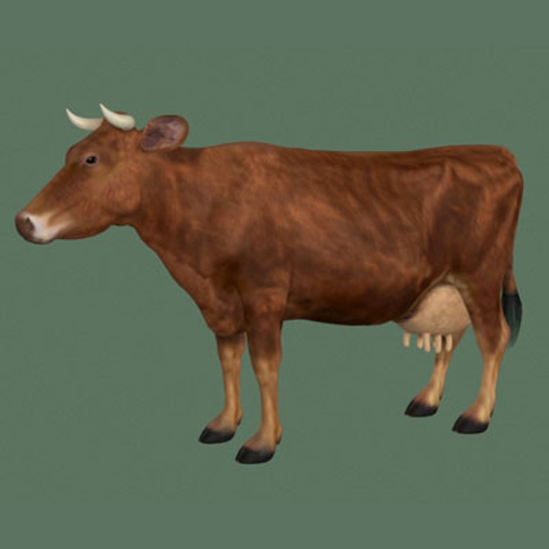 Cow 3d Model