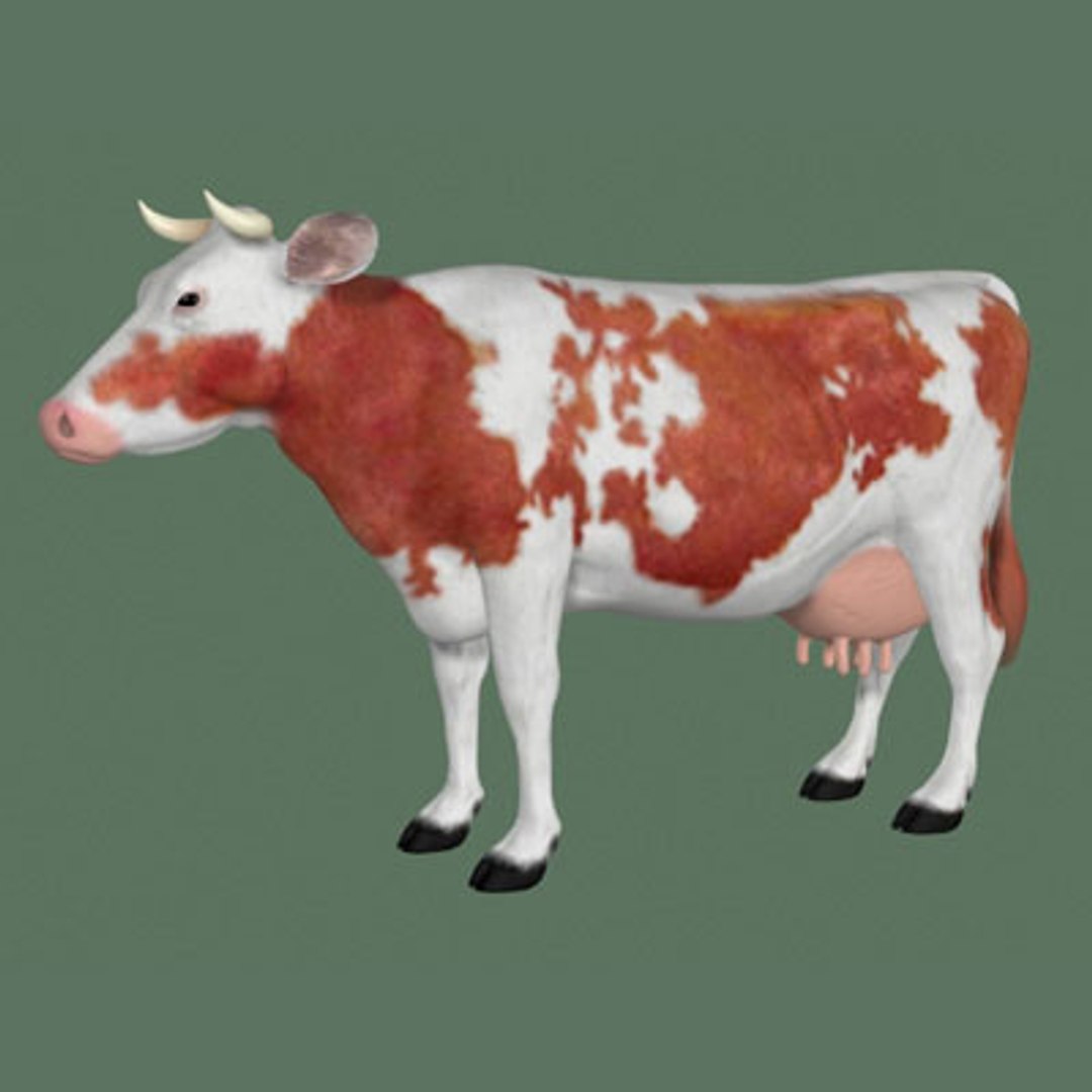 Cow 3d Model