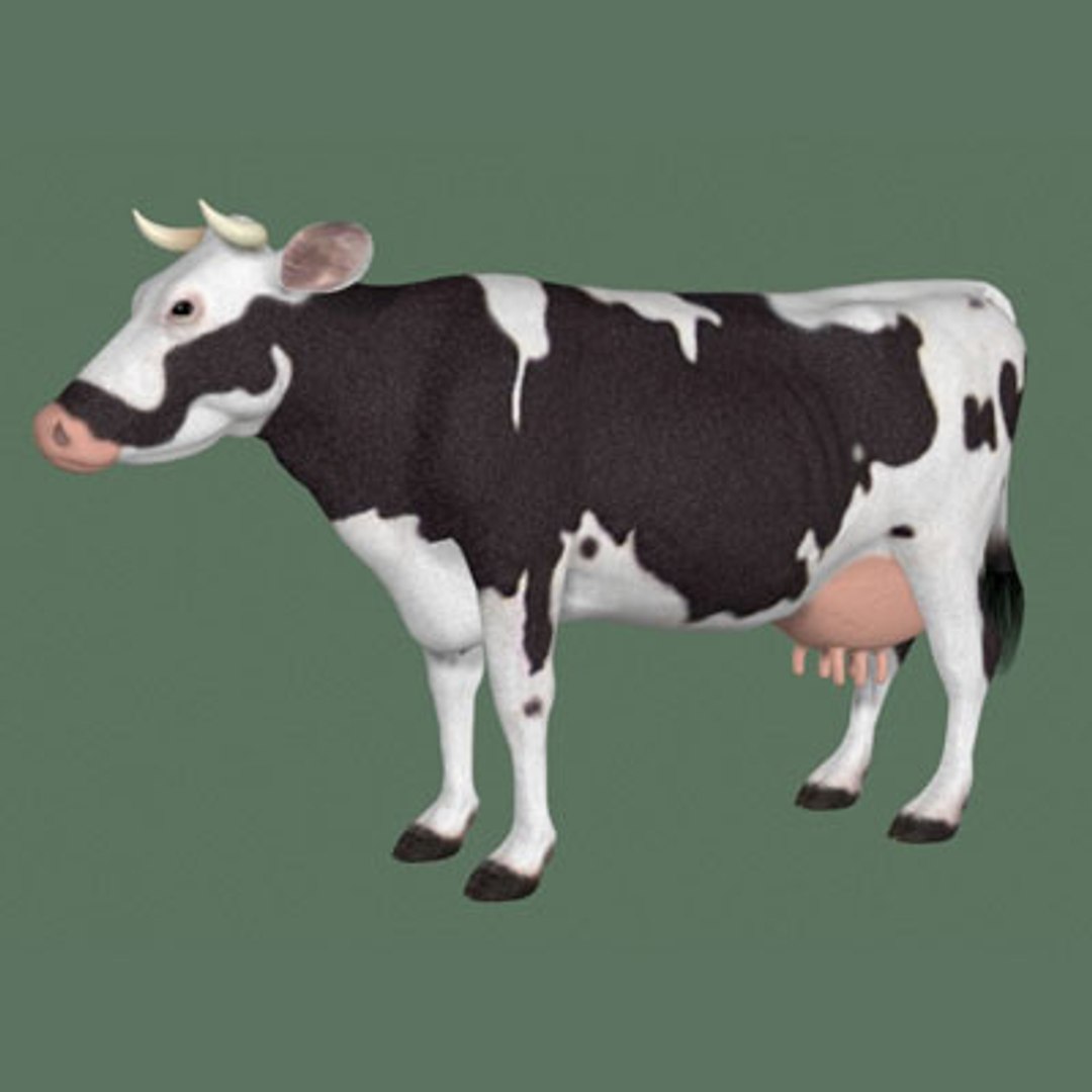 Cow 3d Model