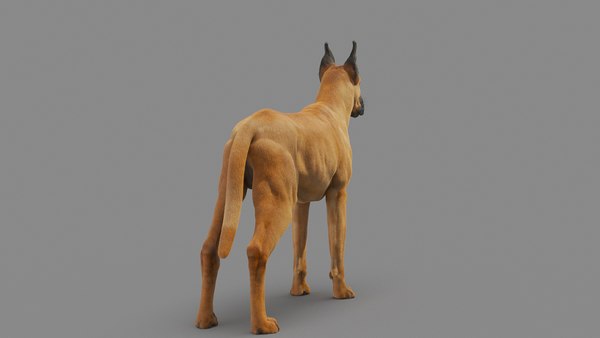 Great dane dog model - TurboSquid 1676916