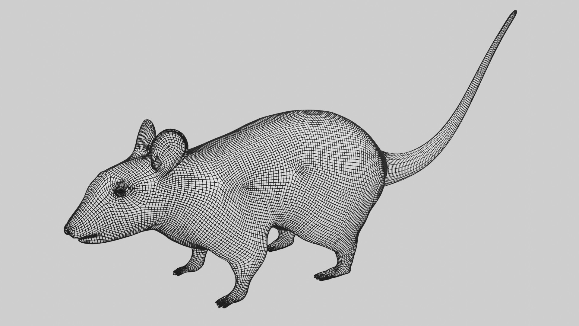3D Brown Mouse Rigged - TurboSquid 1661450