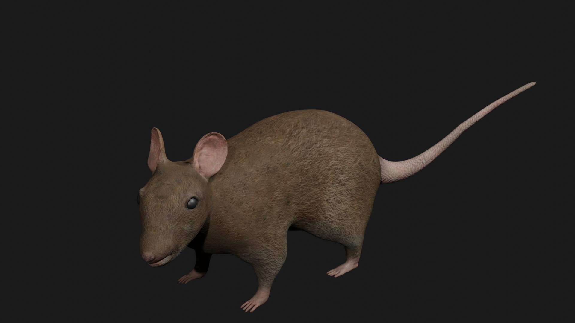 3D Brown Mouse Rigged - TurboSquid 1661450
