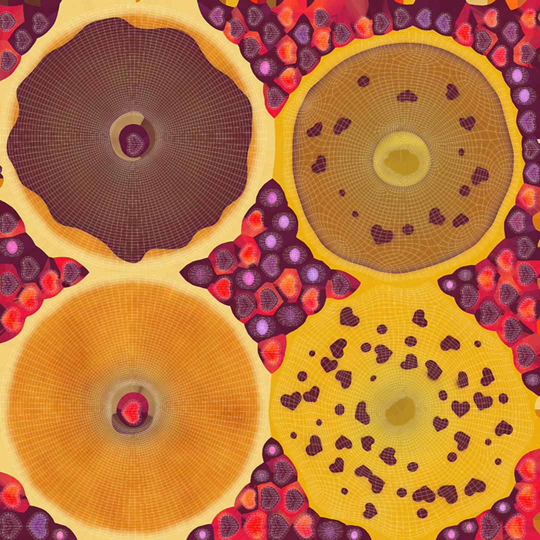 3D Stylized Donut Collection Model - TurboSquid 2258647