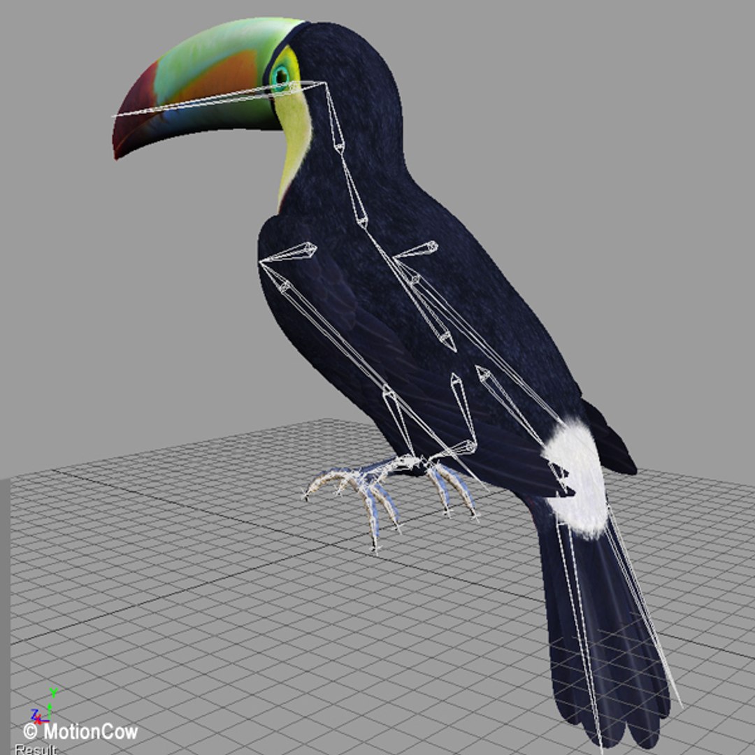 Realistic Toucan Wings Folded Max