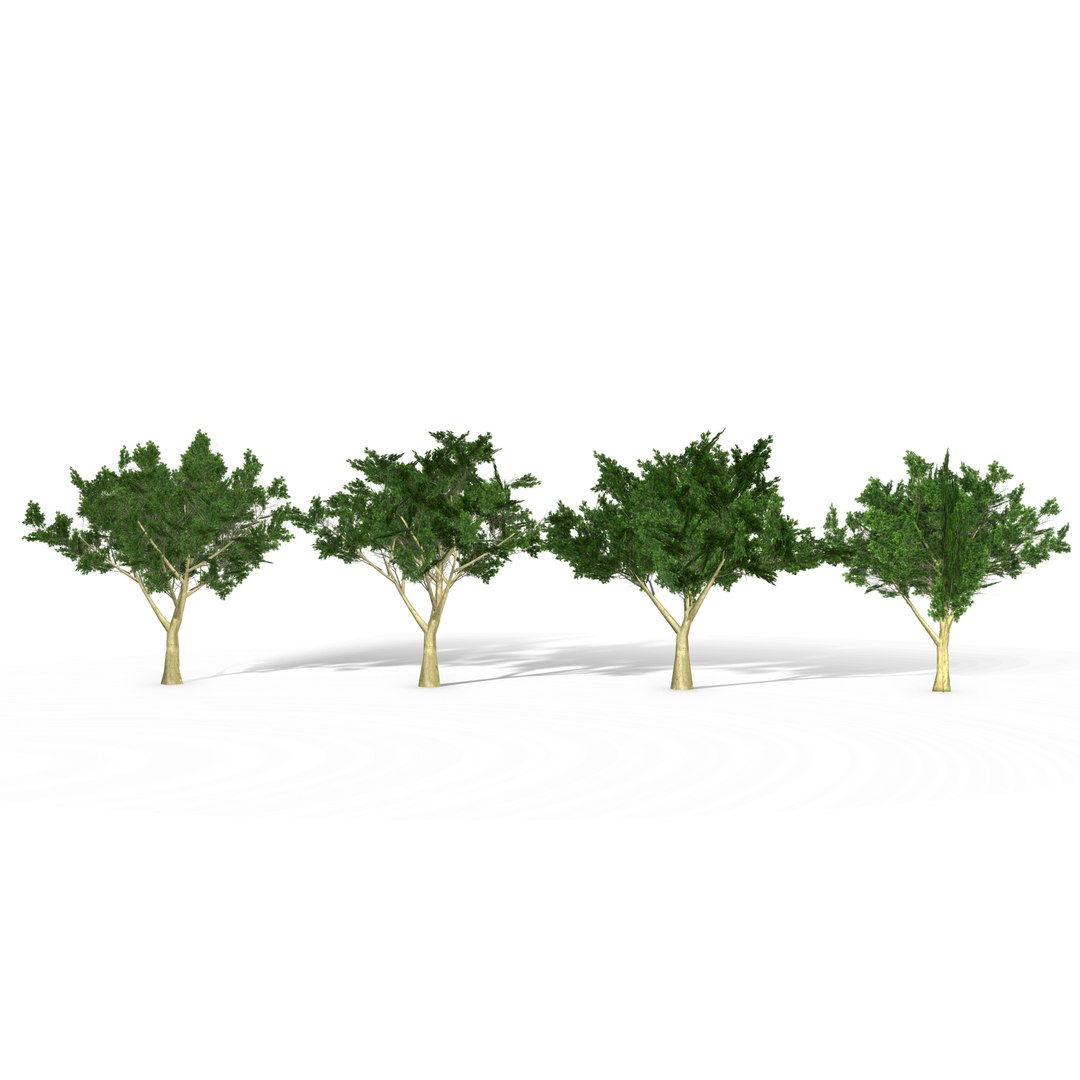 Landscape Trees Model - TurboSquid 1248621