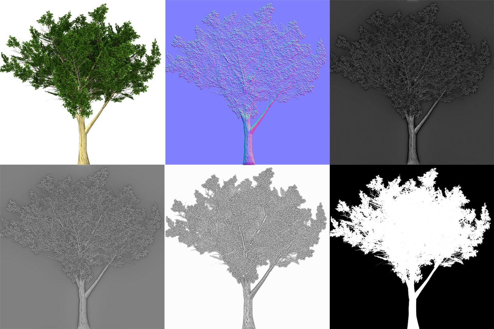 Landscape Trees Model - TurboSquid 1248621