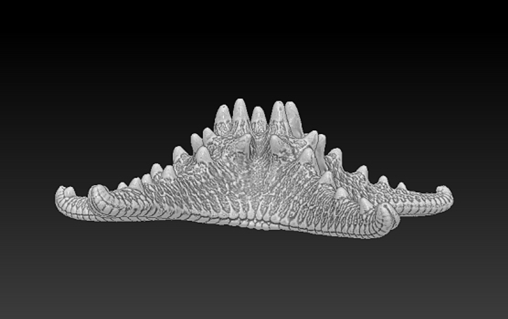 3d Starfish Marine Invertebrates Model