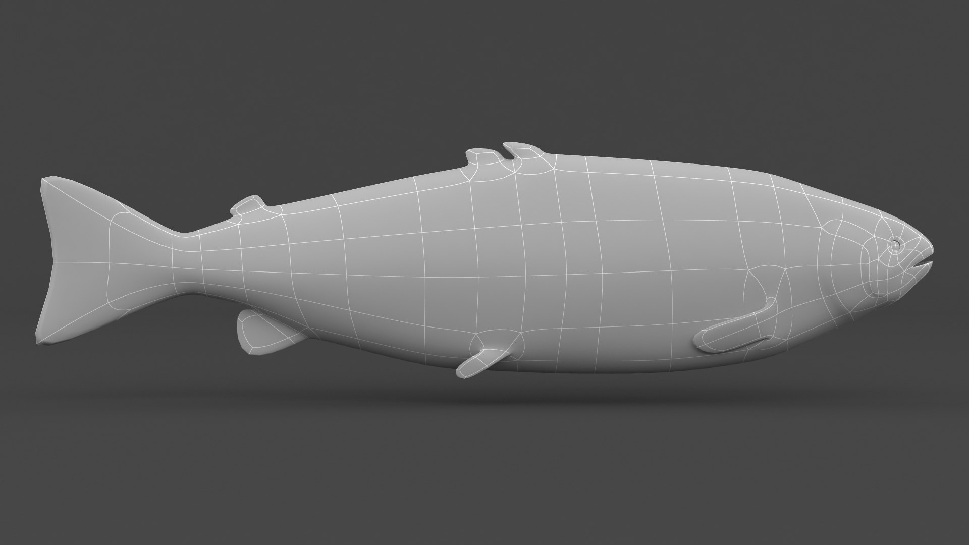 Salmon Fish 3D Model - TurboSquid 2030677