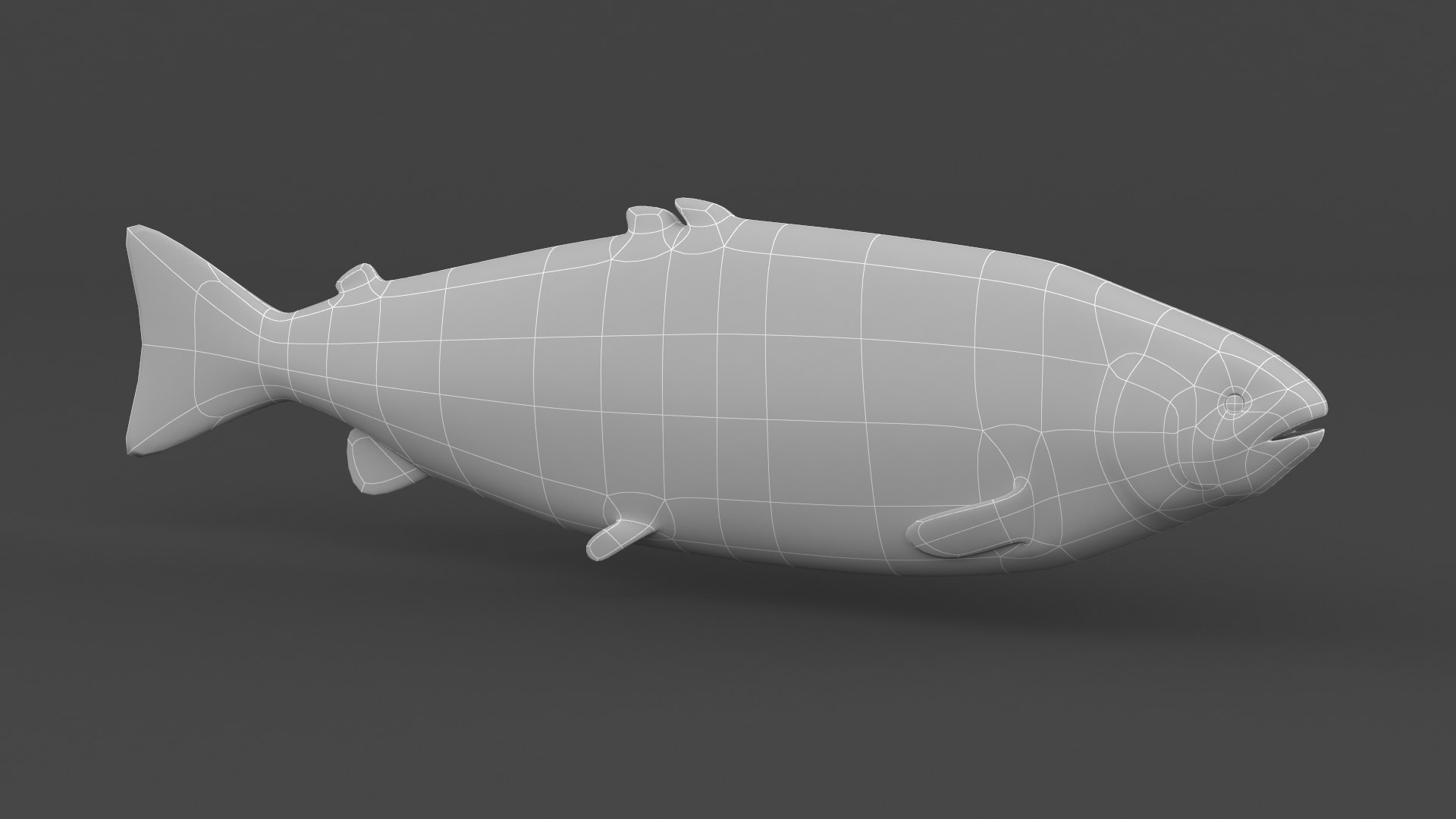 Salmon Fish 3D Model - TurboSquid 2030677