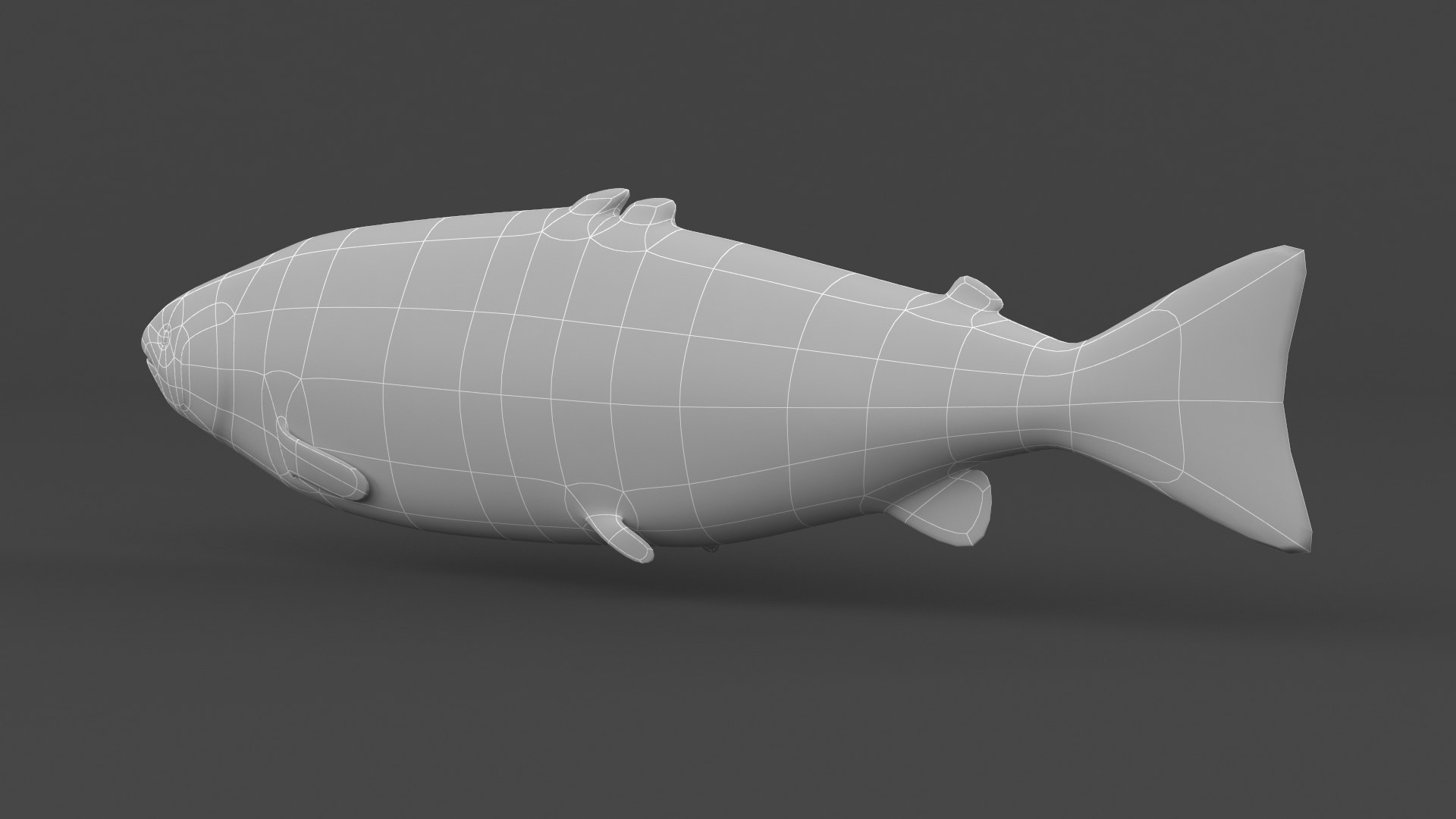 Salmon Fish 3D Model - TurboSquid 2030677