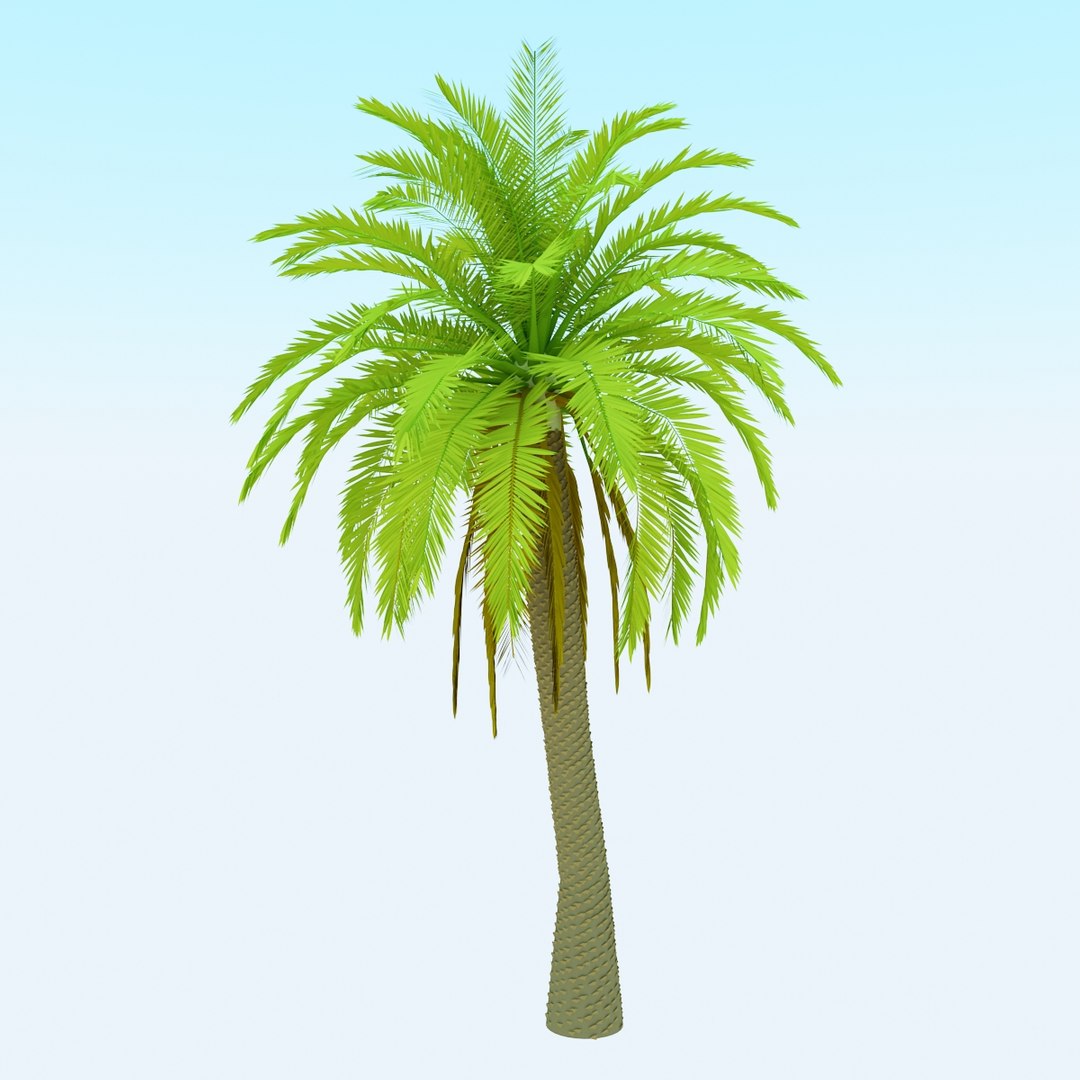 palm 3d model