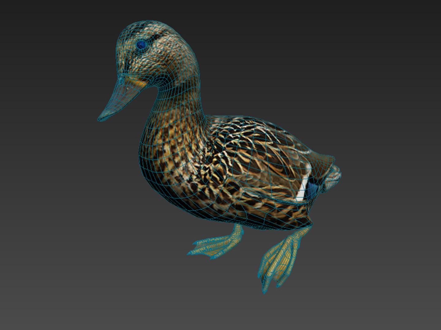 3d model duck animation