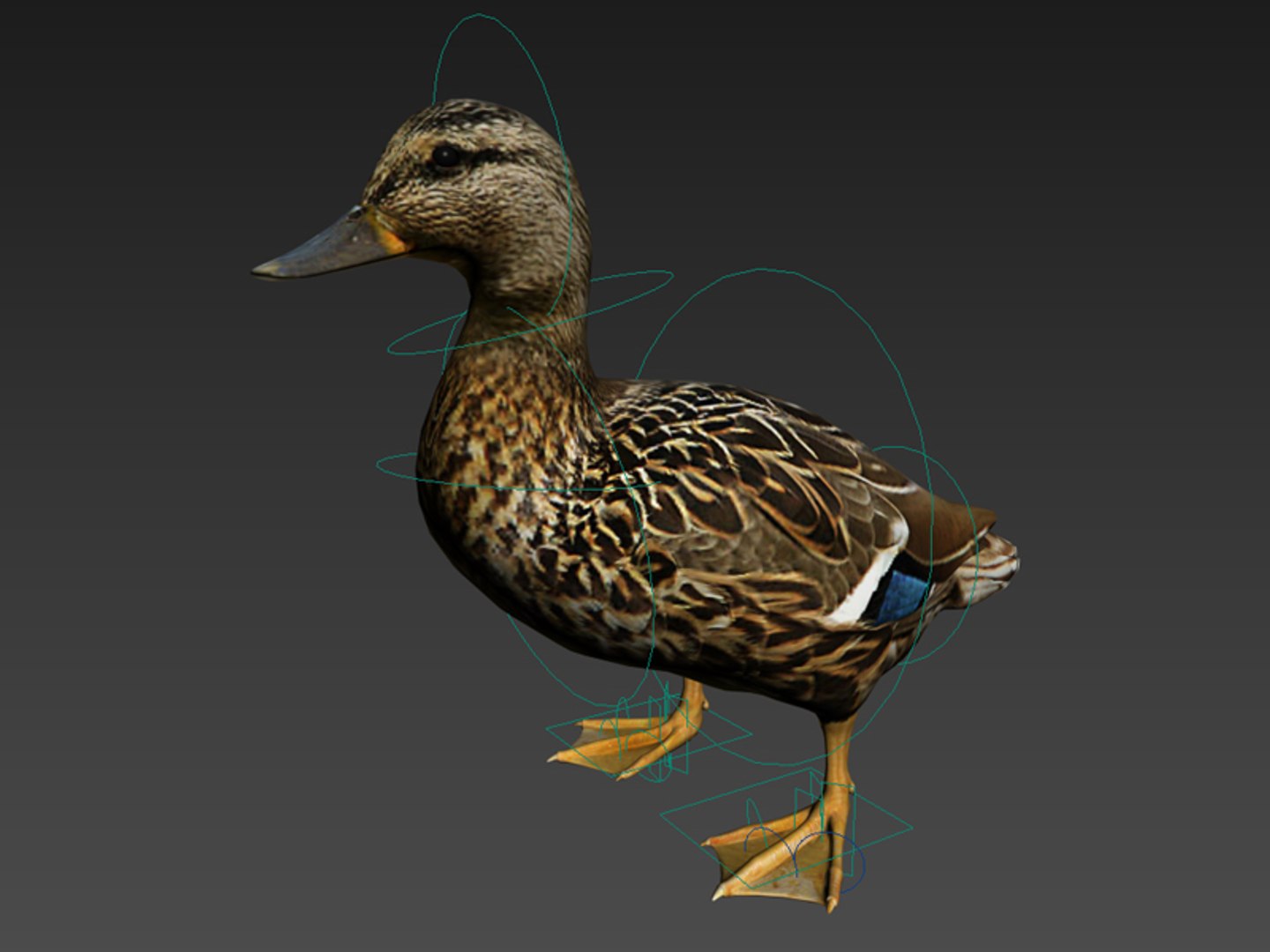 3d model duck animation