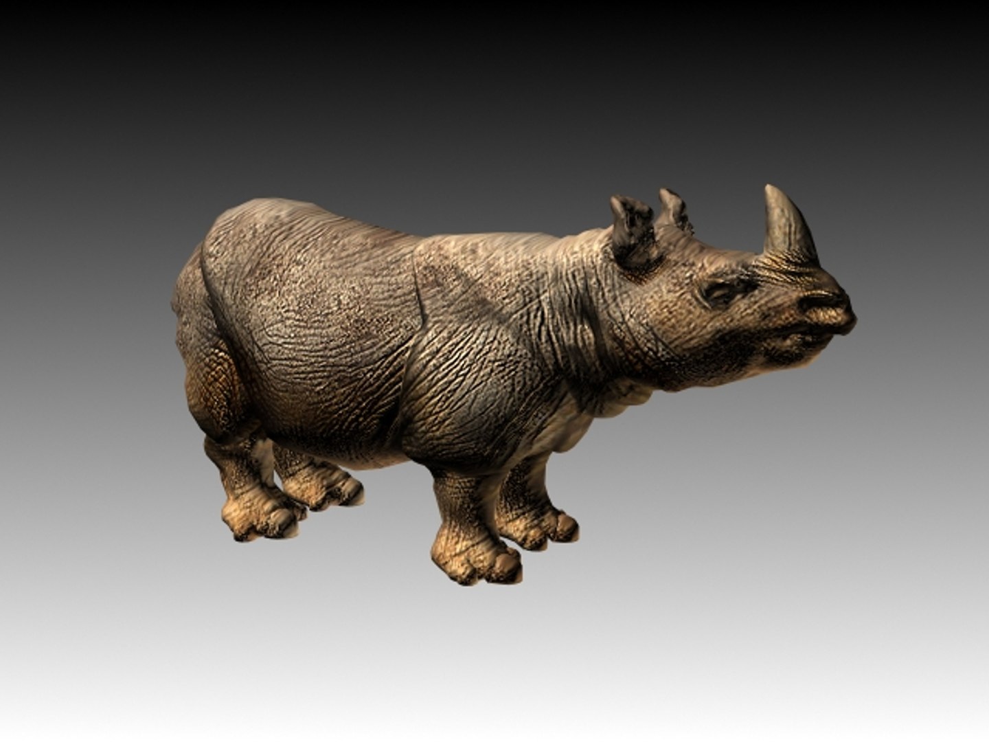 Rhino 3d Model