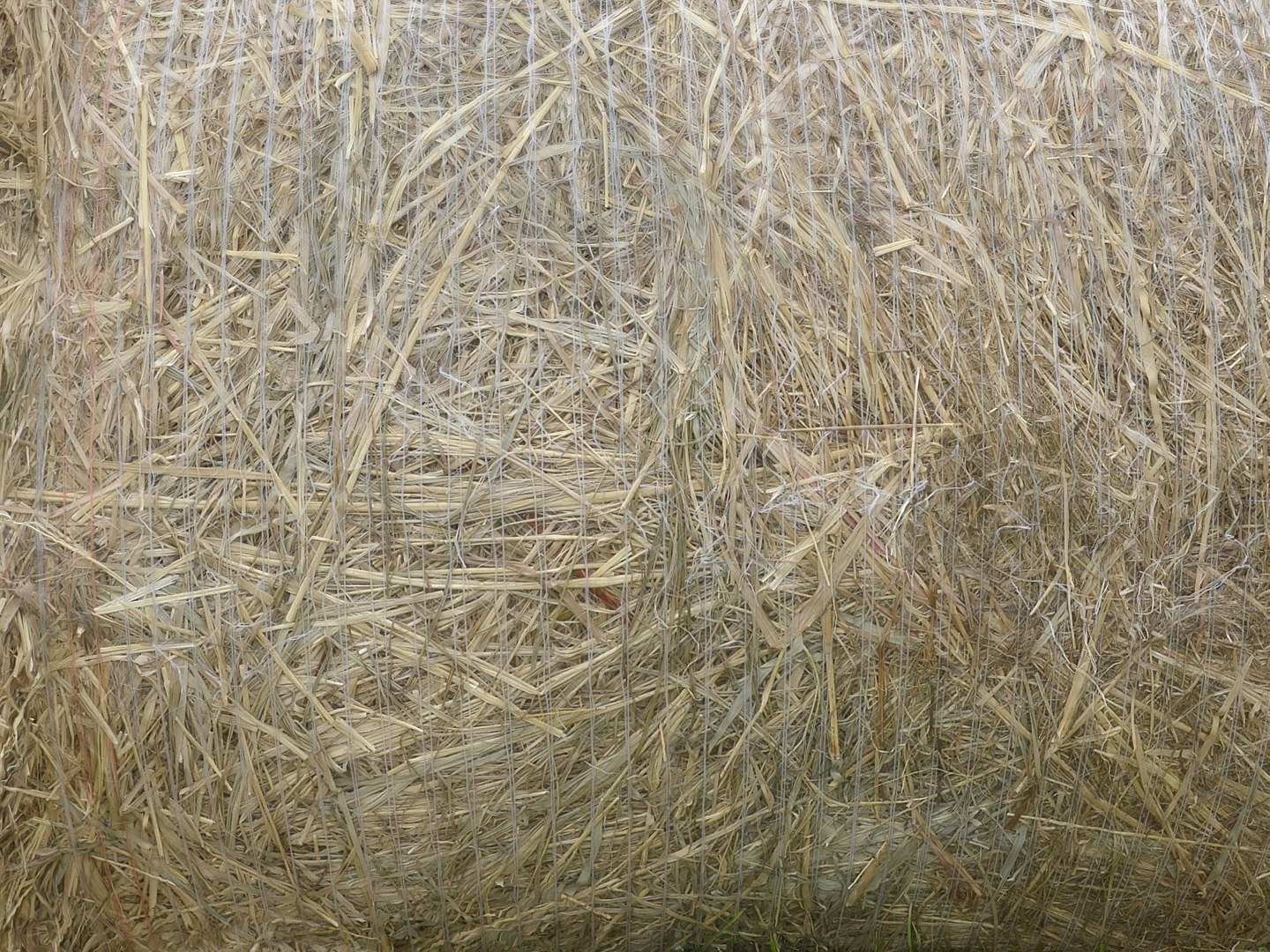 Haystack Scanned 3D - TurboSquid 1191072